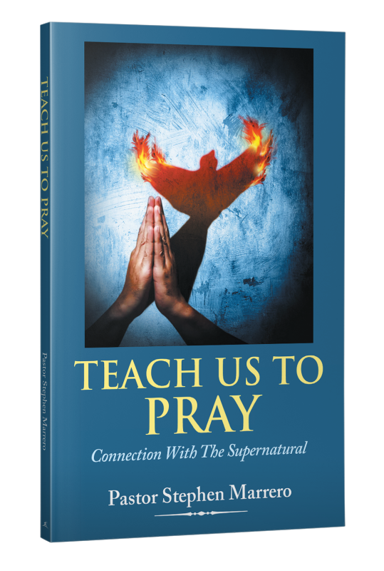 About the Book - Pastor Stephen Marrero